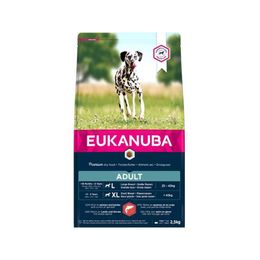 eukanuba Adult Large Salmon & Barley 2.5 kg