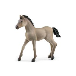 Schleich Criollo Definitivo Foal