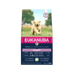 eukanuba Puppy Large Lamb & Rice 2.5 kg