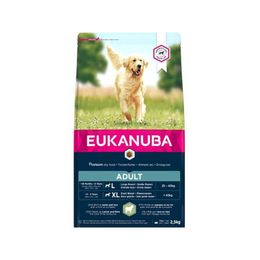 eukanuba Adult Large Lamb & Rice 2.5 kg