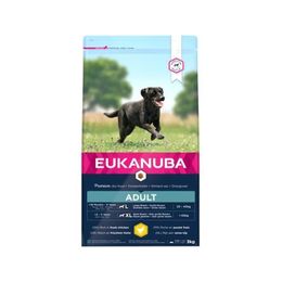 eukanuba Adult Large Breed 3 kg