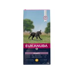 eukanuba Puppy Large Breed 12 kg