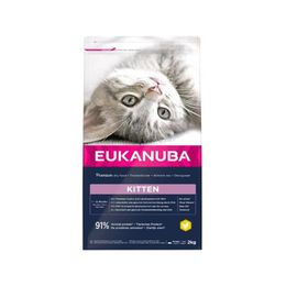 eukanuba Kitten Healthy Start 2 kg