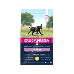 eukanuba Puppy Large Breed 3 kg