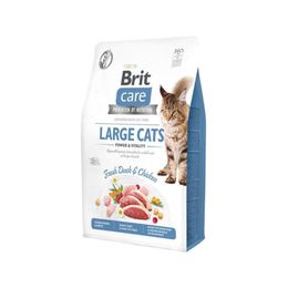 Brit Care Cat GF Large cats Power+Vitality 2kg