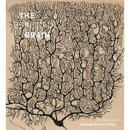 Abrams & Chronicle Books The Beautiful Brain - Javier DeFelipe, Larry Swanson, Gebunden