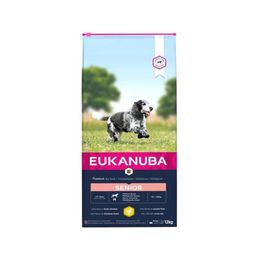 eukanuba Senior Medium Breed 12 kg