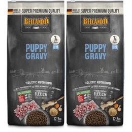 Belcando Puppy Gravy 2 x 12,5 kg für Welpen und Junghunde