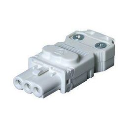 WIELAND Buchse Buchse, 3 Pole, 16A, 250V - GST15I3S B1 ZR1W SW