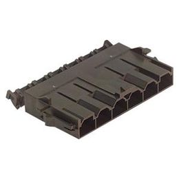 Molex Geh&auml;use, Stecker, Raster - 10 mm, Pole - 6, Reihen - 1, Polyester - 42818-0612