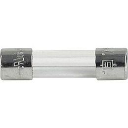 Schurter Sicherung 5 x 20 mm, 20A, 250V, Tr&auml;ge T, Packung &agrave; 10 St&uuml;ck - 0034.3130 PK10