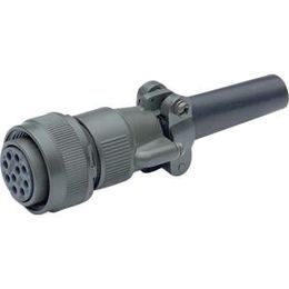 Amphenol Industrial Kabelbuchse, MIL-C-5015, Stecker / Steckbuchse, 16S-1, 13A - DS3106F 16S-1S(+B)