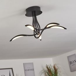 hofstein Oetling Deckenleuchte LED Schwarz, 1-flammig