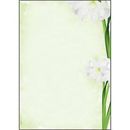 Motivpapier Sigel "Green Flower", A4, 90 g/m², Blumen-Motiv, 25 Blatt