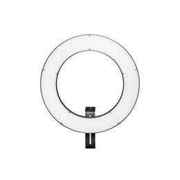 WALIMEX pro LED Ringleuchte 380 Bi Color RLL-380BV