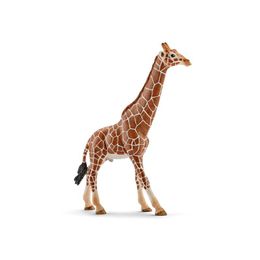 Schleich Giraffe male