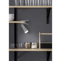 REALITY Maxi Tischleuchte LED Grau, 1-flammig