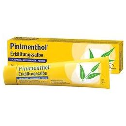 Pinimenthol Erkältungssalbe Eucal./Kiefern./Menth. 100 g