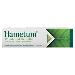 Hametum Wund- und Heilsalbe 100 g