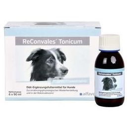 alfavet Reconvales Tonicum für Hunde 6X90 ml