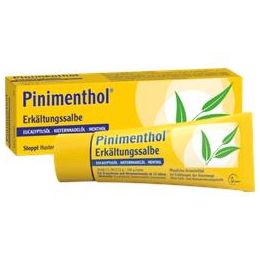 Pinimenthol Erkältungssalbe Eucal./Kiefern./Menth. 20 g