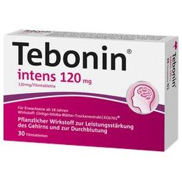 Tebonin intens 120 mg Filmtabletten 30 St