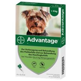 Advantage 40 Lösung f.Hunde bis 4 kg 4 St