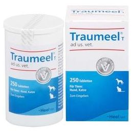 Heel Traumeel T ad us.vet.Tabletten 250 St