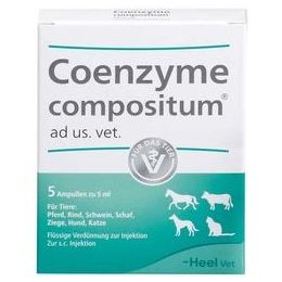 Heel Coenzyme Compositum ad us.vet.Ampullen 5X5 ml