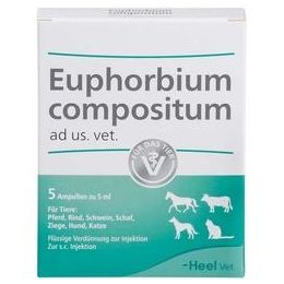 Heel Euphorbium Compositum ad us.vet.Ampullen 5X5 ml