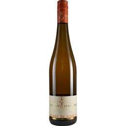 Weingut Mirjam Schneider Merlot 2025 Trocken - Rheinhessen &ndash; Blanc de Noir Qualit&auml;tswein