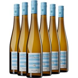 Weingut Wittmann VDP.Gutswein Paket Silvaner 2020 Trocken - Rheinhessen &ndash; Probierpaket Qualit&auml;tswein