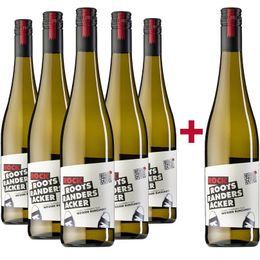 Weingut Martin Göbel Martin Göbel 2019 5+1 Paket Rock Weißer Burgunder trocken