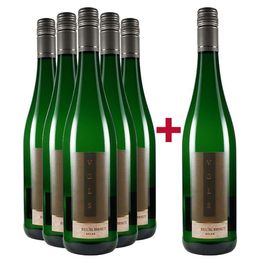 Weingut VOLS Vols 2019 5+1 Aktion "Ayler Riesling Kabinett-Paket"