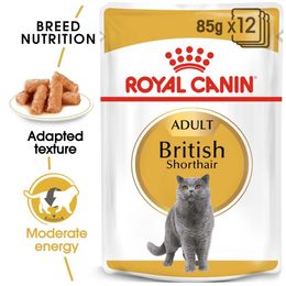 Royal Canin British Shorthair Adult Katzenfutter nass für Britisch Kurzhaar 12x85g