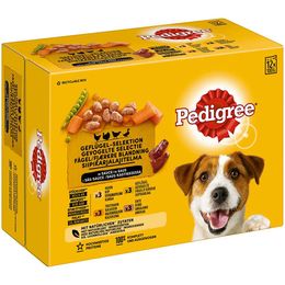 Pedigree Pouch Adult Geflügel Selektion Multipack 24x100g