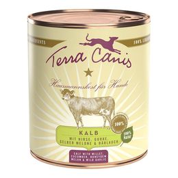 Terra Canis CLASSIC Kalb mit Hirse, Gurke, Melone 6x800g