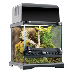 EXO TERRA Natural Nano-Terrarium "Wide" 20x20x20cm