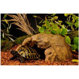 EXO TERRA Höhle für Landschildkröten