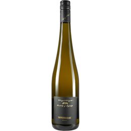 Weingut Wissgott Sauvignon Blanc 2018 Trocken - Rheinhessen &ndash; Wei&szlig;wein Sp&auml;tlese