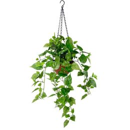 Kunstpflanze Efeutute, my home, Höhe 96 cm, Im Topf, mit Hängeampel, künstliche Hängepflanze, grün