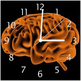 Wallario Wanduhr Menschliches Gehirn in leuchtend orangener Farbe (Aluverbunduhr), schwarz, mit weißen Zeigern