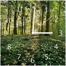 Wallario Wanduhr Waldanemonen und Sonnenstrahlen im Wald (Aluverbunduhr), schwarz, mit weißen Zeigern
