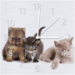 Wallario Wanduhr Hundewelpen und Katzenjunge (Aluverbunduhr), weiß, mit weißen Zeigern