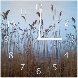 Wallario Wanduhr Schilfrohr am See vor blauem Himmel (Aluverbunduhr), mit weißen Zeigern