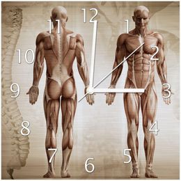 Wallario Wanduhr Anatomie Mensch I (Aluverbunduhr), gelb, mit weißen Zeigern