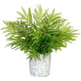 Kunstpflanze Farn Farn, Creativ green, Höhe 36 cm, grün