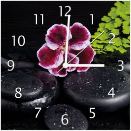 Wallario Wanduhr Geranienblüte auf schwarzen Steinen, benetzt mit Wassertropfen (Aluverbunduhr), mit weißen Zeigern
