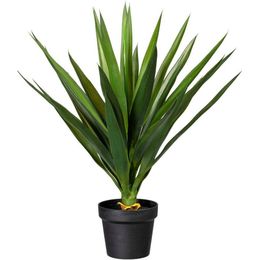 Künstliche Zimmerpflanze Yucca Yucca, Creativ green, Höhe 70 cm, grün