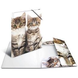 3 Herma Sammelmappen DIN A4 Katzen